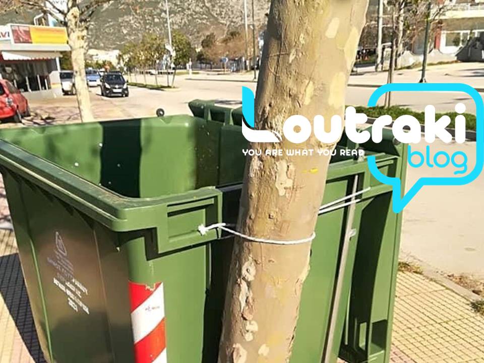 Λουτράκι: 'Εδεσαν τους κάδους στα δέντρα λόγω του δυνατού αέρα (φωτο ...