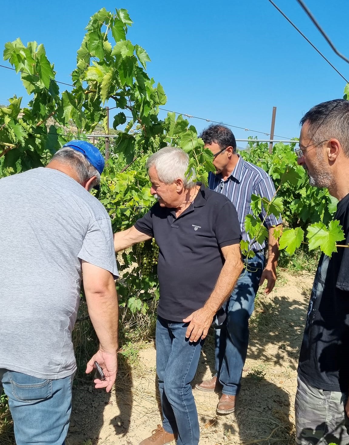 Συμβαίνει τώρα: Ο ΕΛΓΑ έφτασε στα κτήματα της Κορινθίας για αυτοψία ...