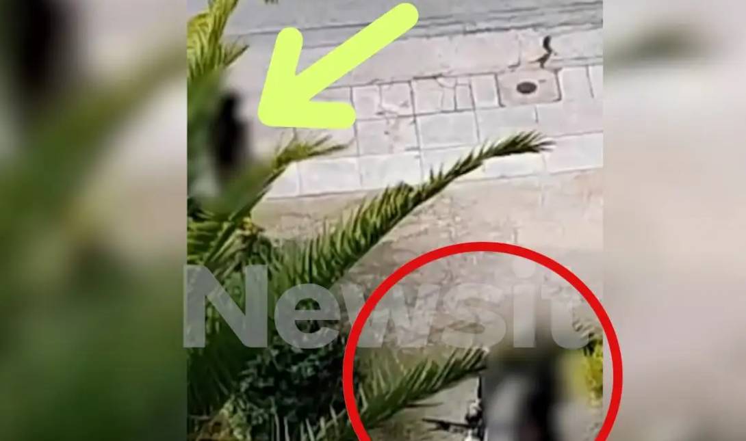 ΠΑΛΑΙΟ ΦΑΛΗΡΟ: Ποδηλάτης έδειξε τα... «κάλλη» του σε περαστική ...