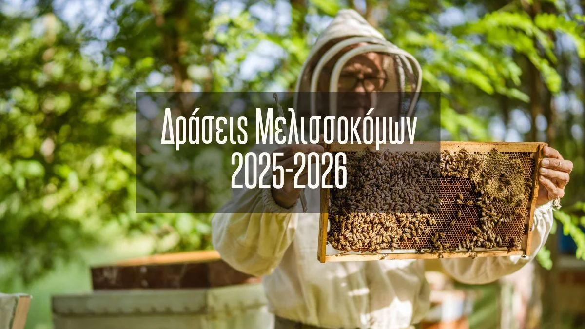 Κορινθία: Δράσεις για συμμετοχή Μελισσοκόμων - Έτος 2025 » loutrakiblog