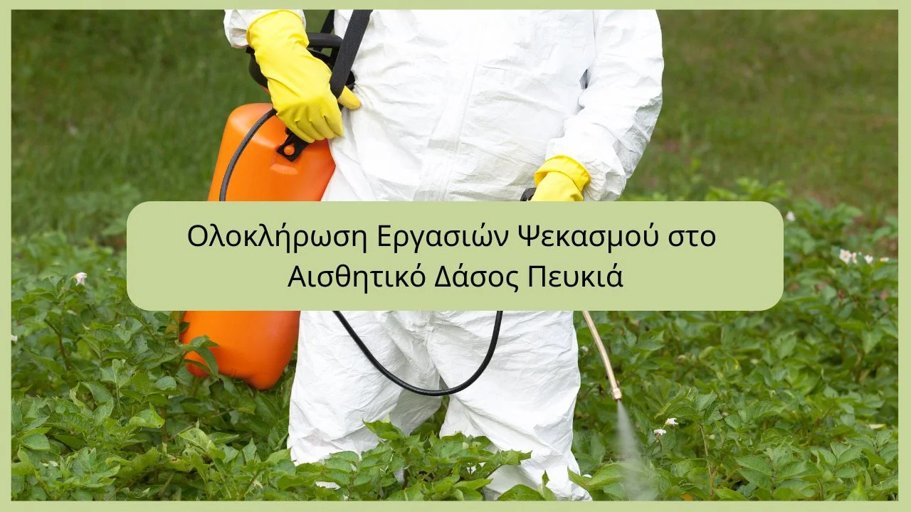 Ολοκλήρωση Εργασιών Ψεκασμού στο Αισθητικό Δάσος Πευκιά » loutrakiblog